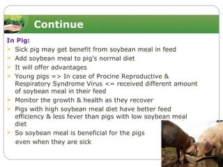 soybean meal in animal feeding-ppt | PPT