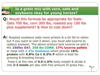 Soybean Meal For Horses