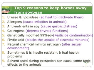 Soybean Meal For Horses