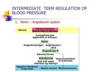 11- Arterial Blood Pressure Regulation.ppt