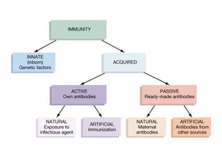 11-AS-Immunity for AS Level Biology Grade 11 | PPT