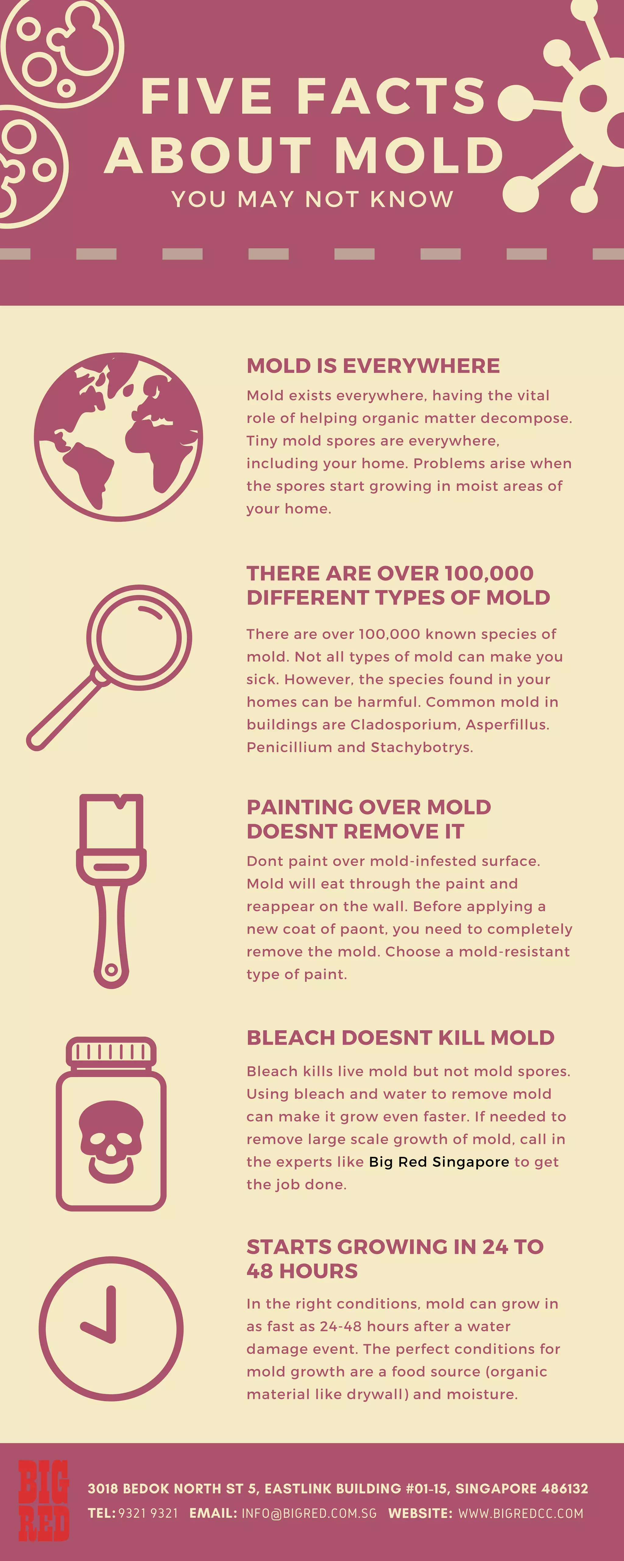 Five Facts About Mold [2020] | PDF