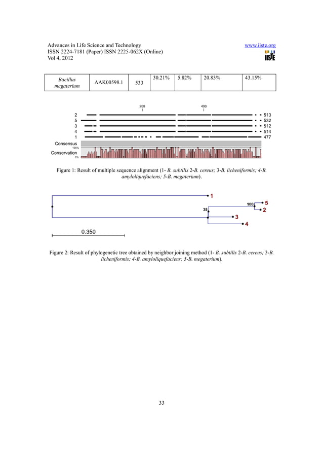11.categorizing phenomenal features of amylase (bacillus species) using bioinformatic tools ...