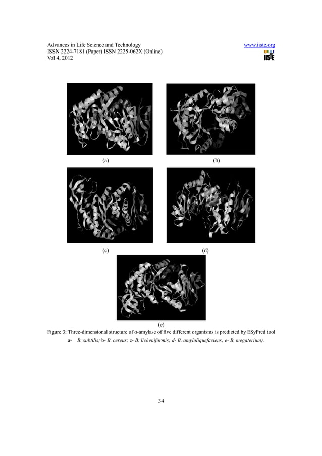 11.categorizing phenomenal features of amylase (bacillus species) using bioinformatic tools ...