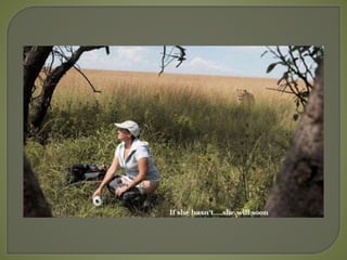 Lawhon - Catholes: History, research current use, and future ...