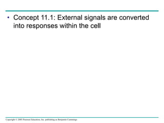 11- cellcommunication text.ppt