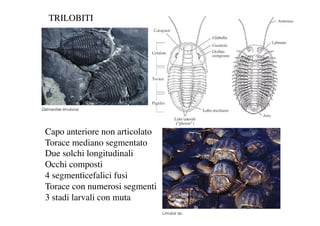 11.chelic crost | PDF
