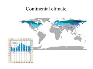 Climate zones. Basic vocabulary | PPT