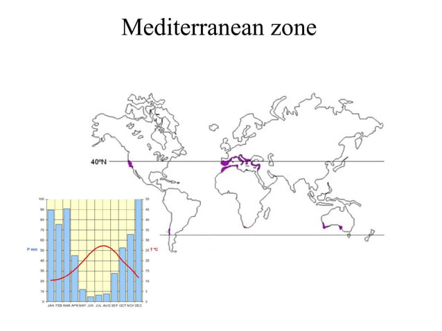 Climate zones. Basic vocabulary