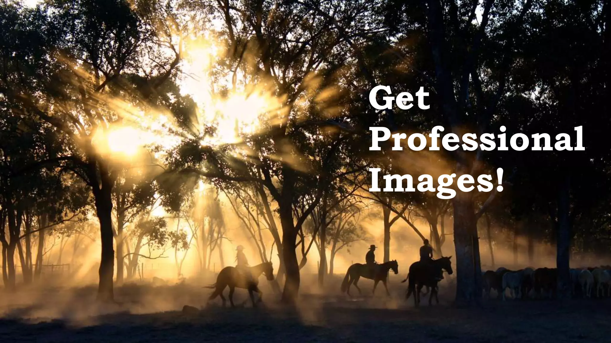 11 - The Basics of Cover Design | PPT