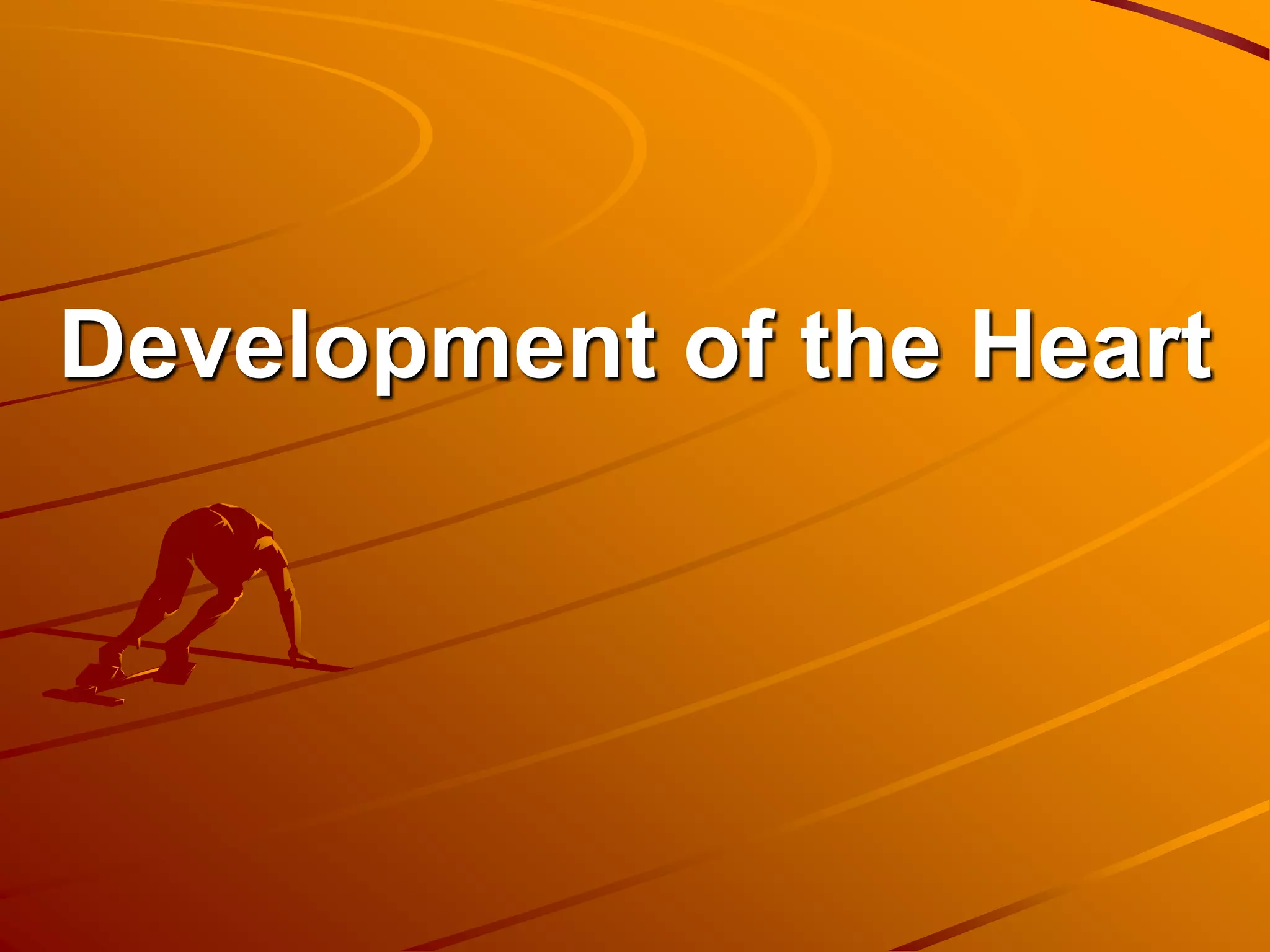 11 - Development of the Heart.ppt