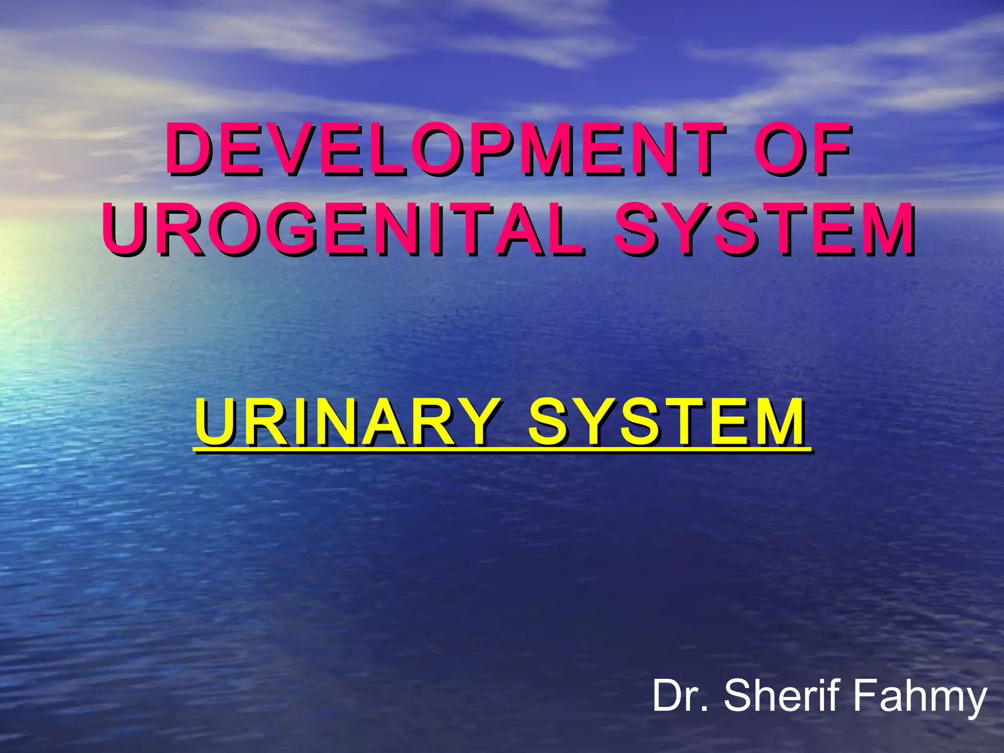 Development of Urogenital System (Special Embryology) | PPS
