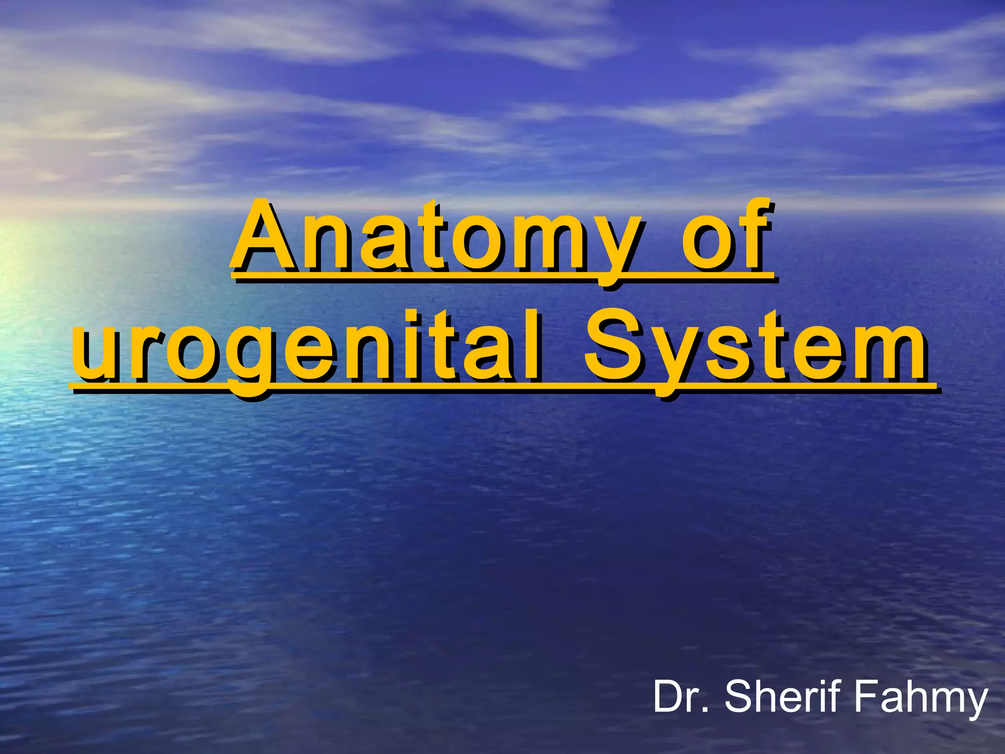 Development of Urogenital System (Special Embryology) | PPS