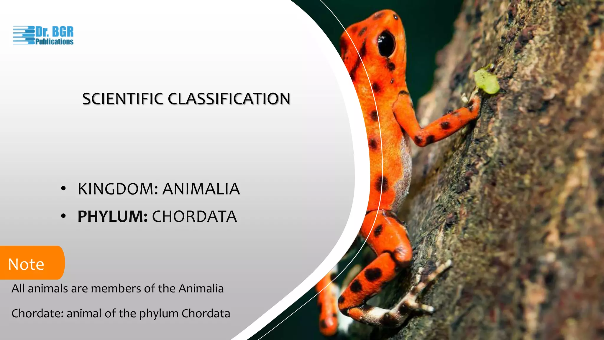 General Characteristics of Amphibia | Dr.BGR Publications | PPT