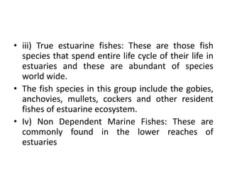 ECOLOGY OF FISHES.pptx full presentation | PPTX