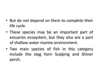 ECOLOGY OF FISHES.pptx full presentation | PPTX