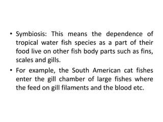 ECOLOGY OF FISHES.pptx full presentation | PPTX