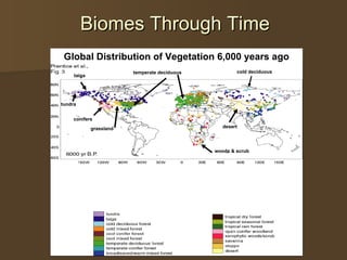 11 effects on terrestrial systems | PPT