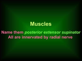 11-Extensor Muscle forearm introduction.ppt