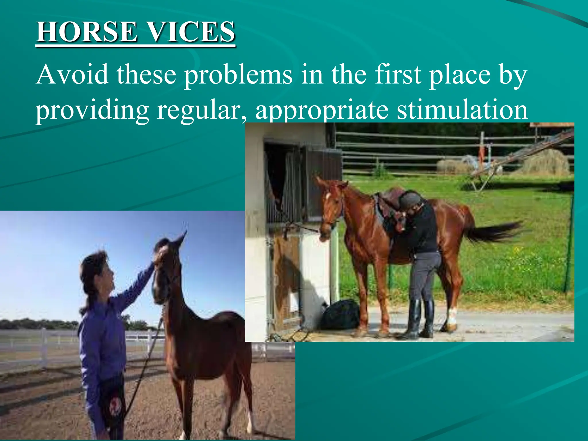 11-Farm Animals Vices and their Control.ppt