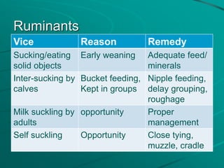 11-Farm Animals Vices and their Control.ppt
