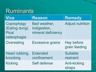 11-Farm Animals Vices and their Control.ppt