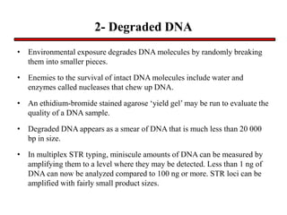Forensic Issues in Forensic Serology & DNA Typing.pptx