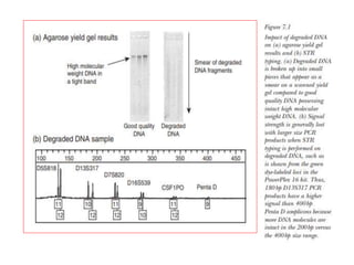 Forensic Issues in Forensic Serology & DNA Typing.pptx