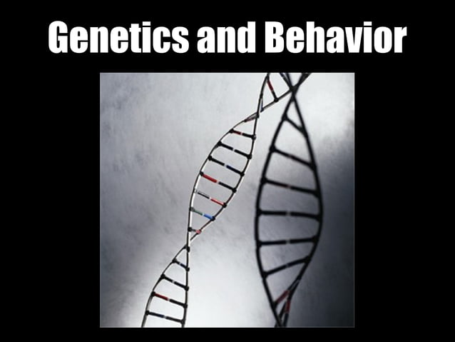 Genetics and Behavior | PPT | Genetics | Science