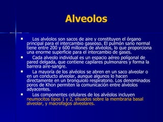 11 Histologia Del Sist Respiratorio | PPT