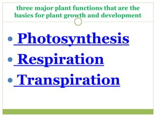 11-how-PLANTS-survive.pdfnNabahahahajiajqhabanna | PPT