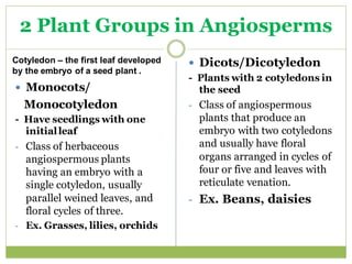 11-how-PLANTS-survive.pdfnNabahahahajiajqhabanna | PPT