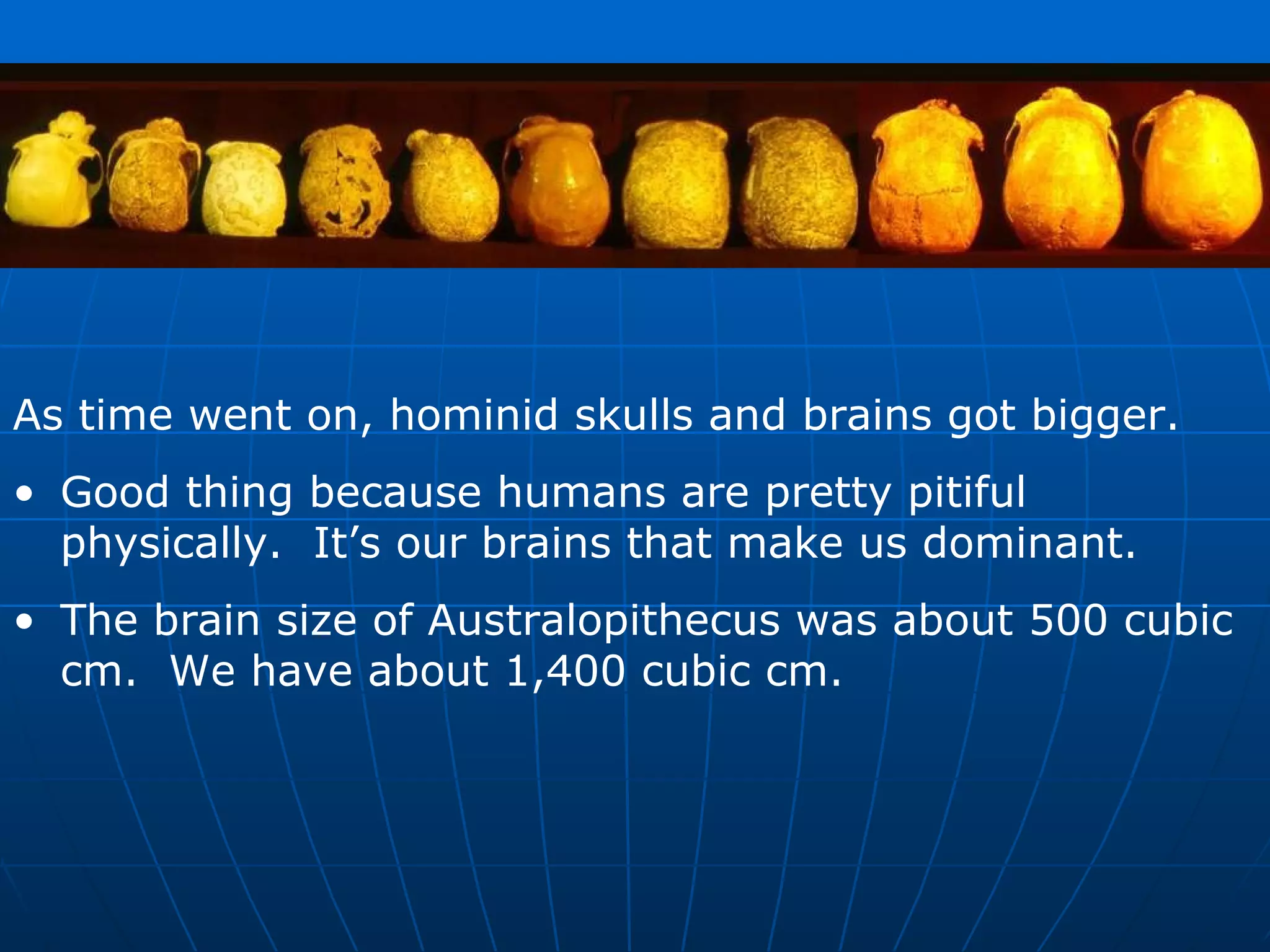 1.1 - Human Origins In Africa | PPT | Pregnancy | Reproductive Health