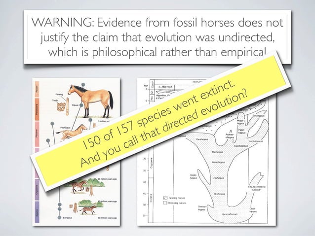 Icons Of Evolution | PPT