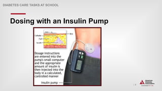 trainig materials Insulin By Pump.pptx training matrials on t1d | PPTX