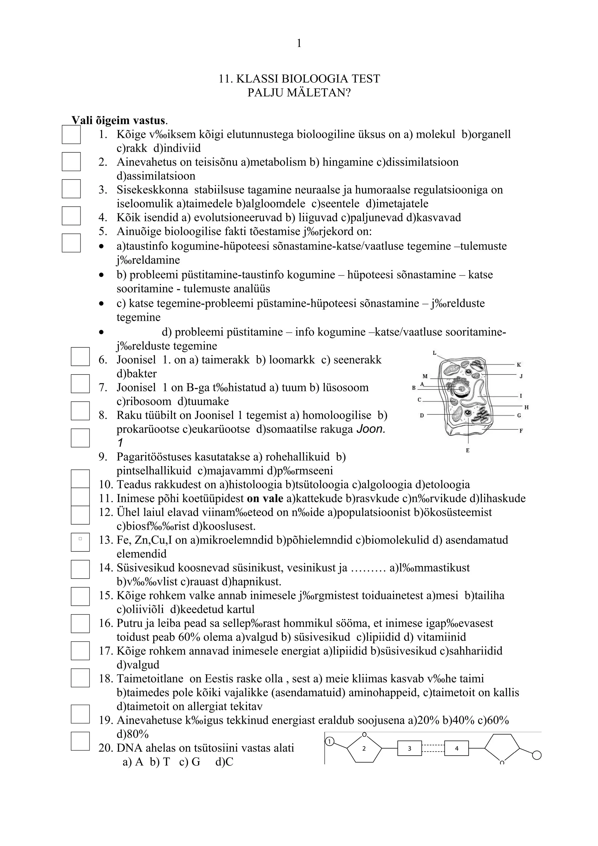 11. klassi kordamisküsimused, | DOC