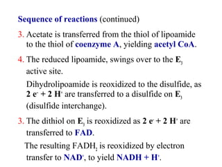 11 krebs cycle | PPT