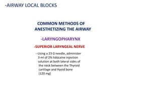 airway local blocks-Anesthesia | PDF
