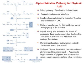 11-Lipid-Metabolism-and energy production ppt.pptx