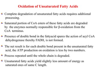 11-Lipid-Metabolism-and energy production ppt.pptx