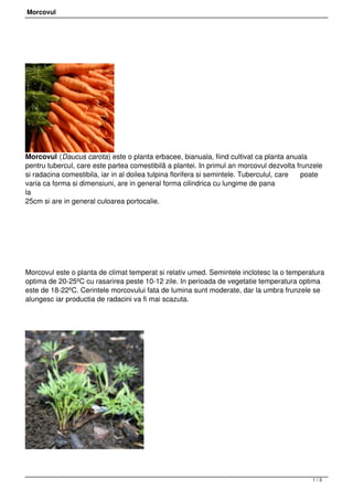 11 morcovul | PDF