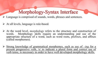 Morphology-Syntax Interface | PPTX