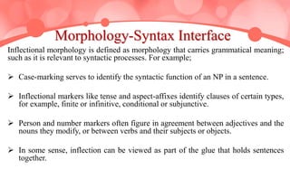 Morphology-Syntax Interface | PPTX
