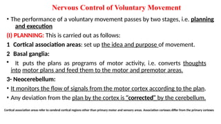 Comprehensive Overview of the Hierarchy and Functions of the Motor ...
