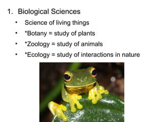 1.1 Nature Of Science | PPT