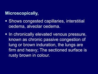 11-oedema.ppt