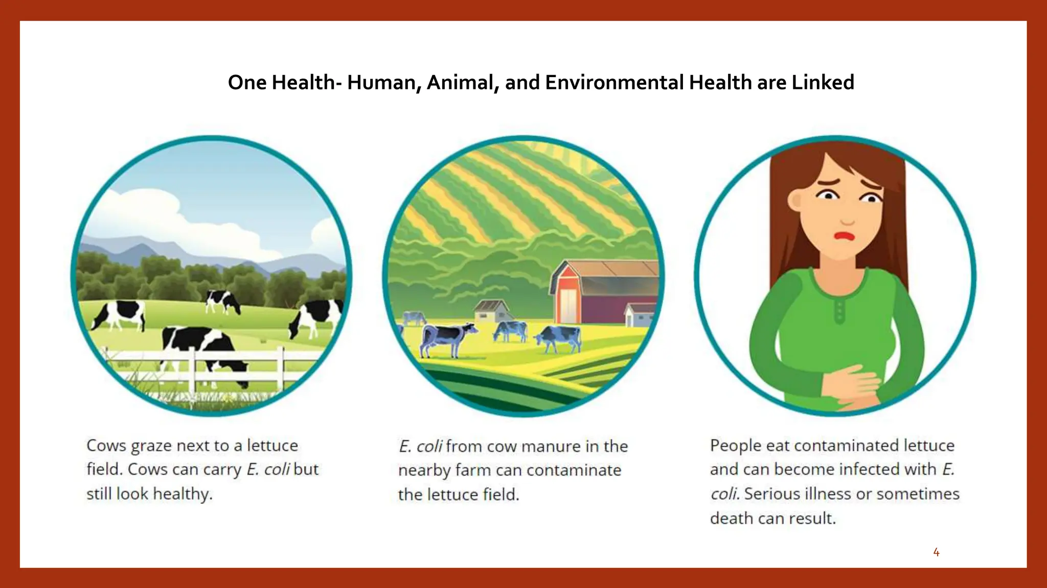 ONE HEALTH | PPTX