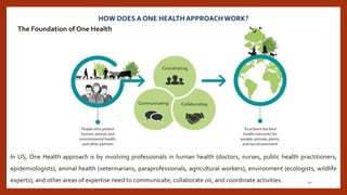 ONE HEALTH | PPTX