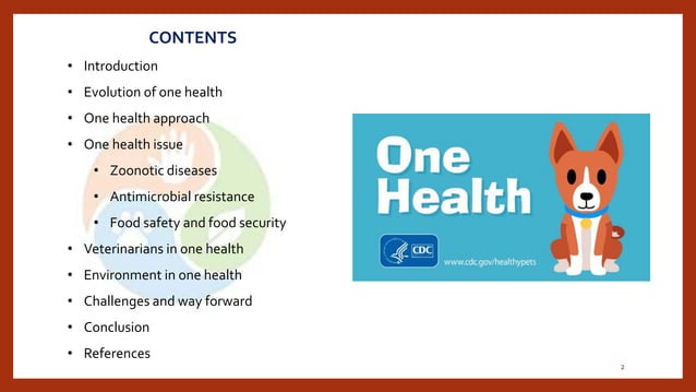 ONE HEALTH | PPTX | Infectious Diseases | Diseases and Conditions