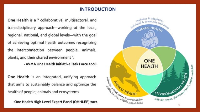 ONE HEALTH | PPTX | Infectious Diseases | Diseases and Conditions